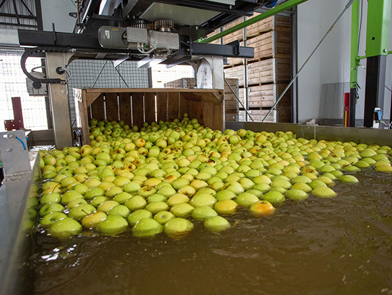 Our Operations - Betko