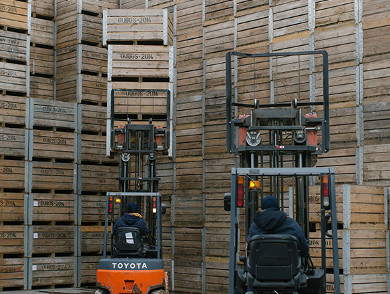 Our Operations - Betko