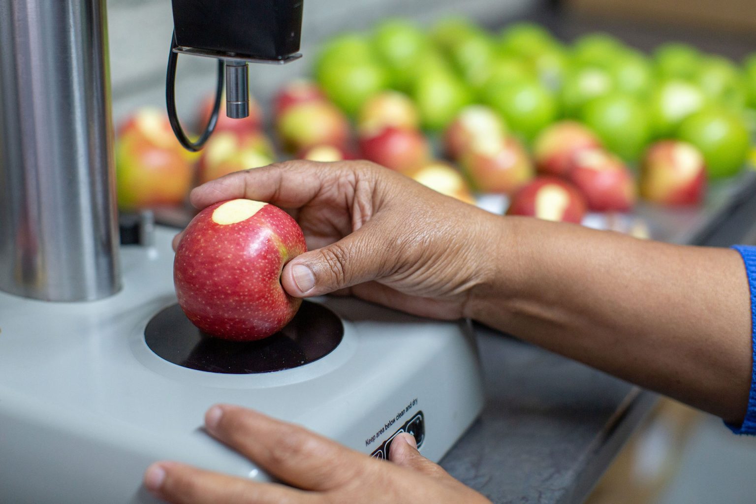 The importance of quality - Betko